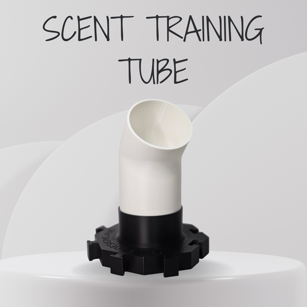 Scent Work – Denver Designs Aus